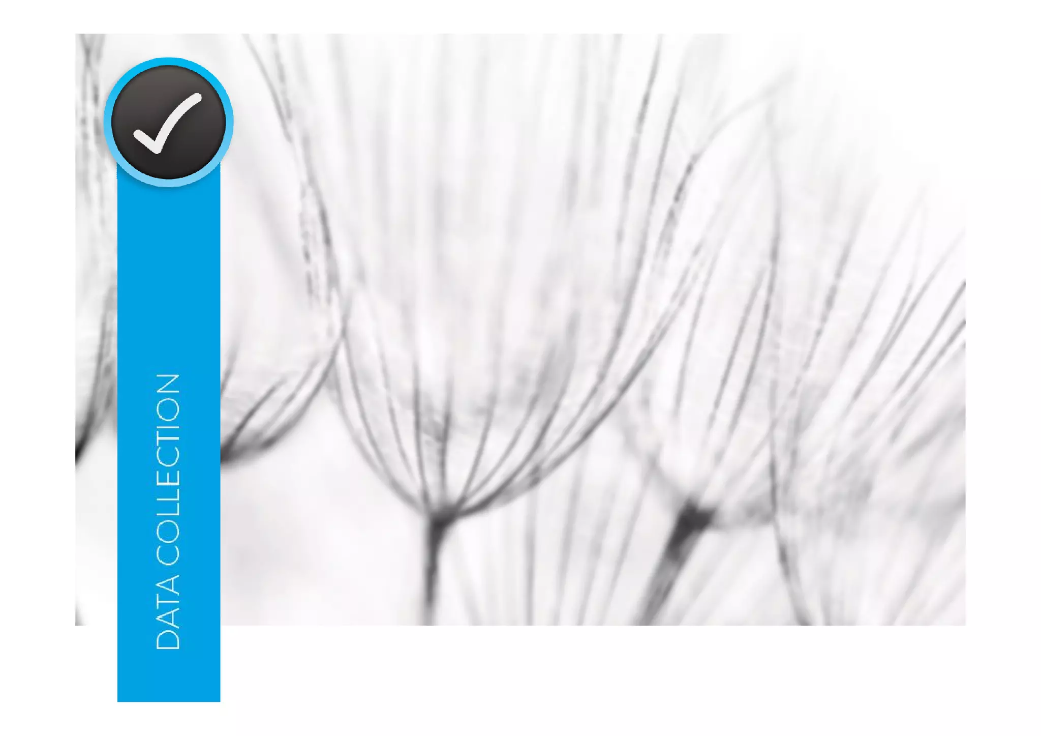 Data Collection | PPT