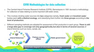 Data collection methods for inland fisheries | PPTX