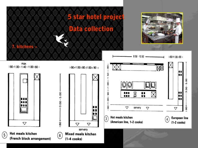 Data collection of five star hotel | PPT | Hotels and Motels | Travel Type