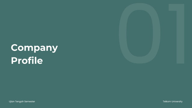 Data Company profile and mockup_Gojek.pdf