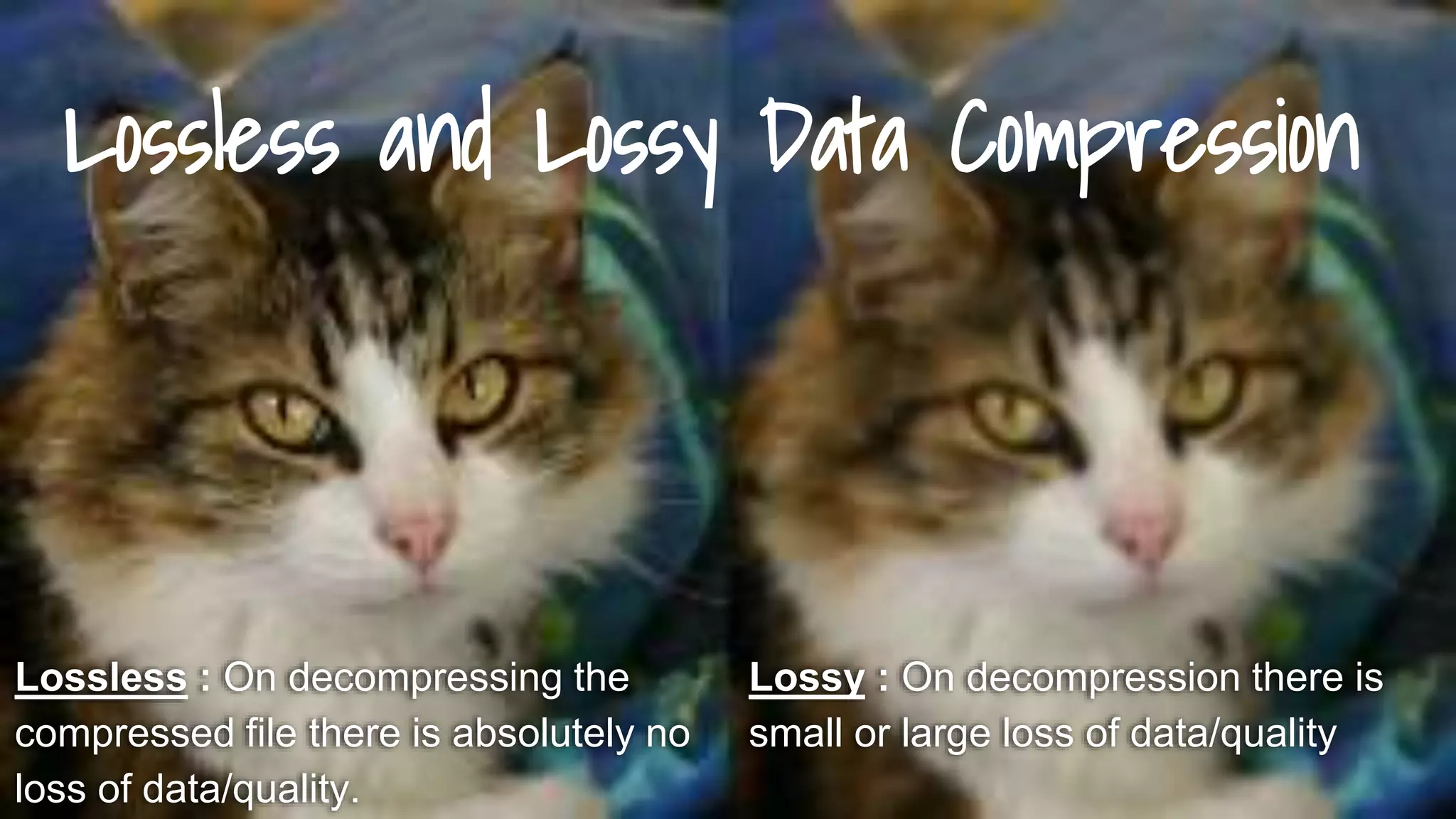 Data compression algorithms | PPT Data compression algorithms | PPT