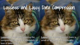 Data compression algorithms | PPTX