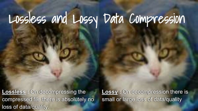 Data compression algorithms | PPTX
