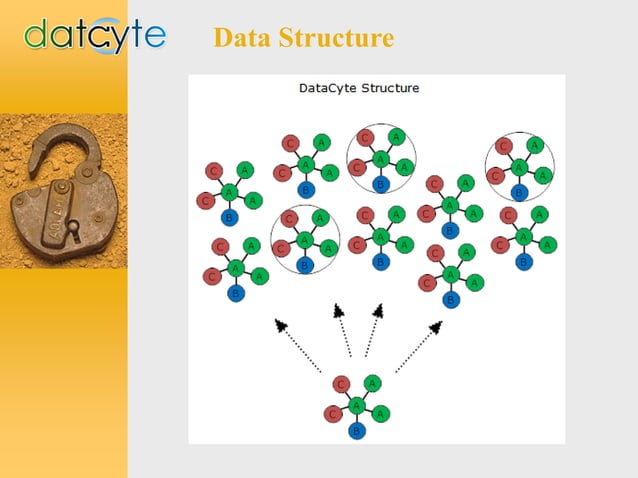 DataCyte - The Future of Data Storage & Retrieval | PDF