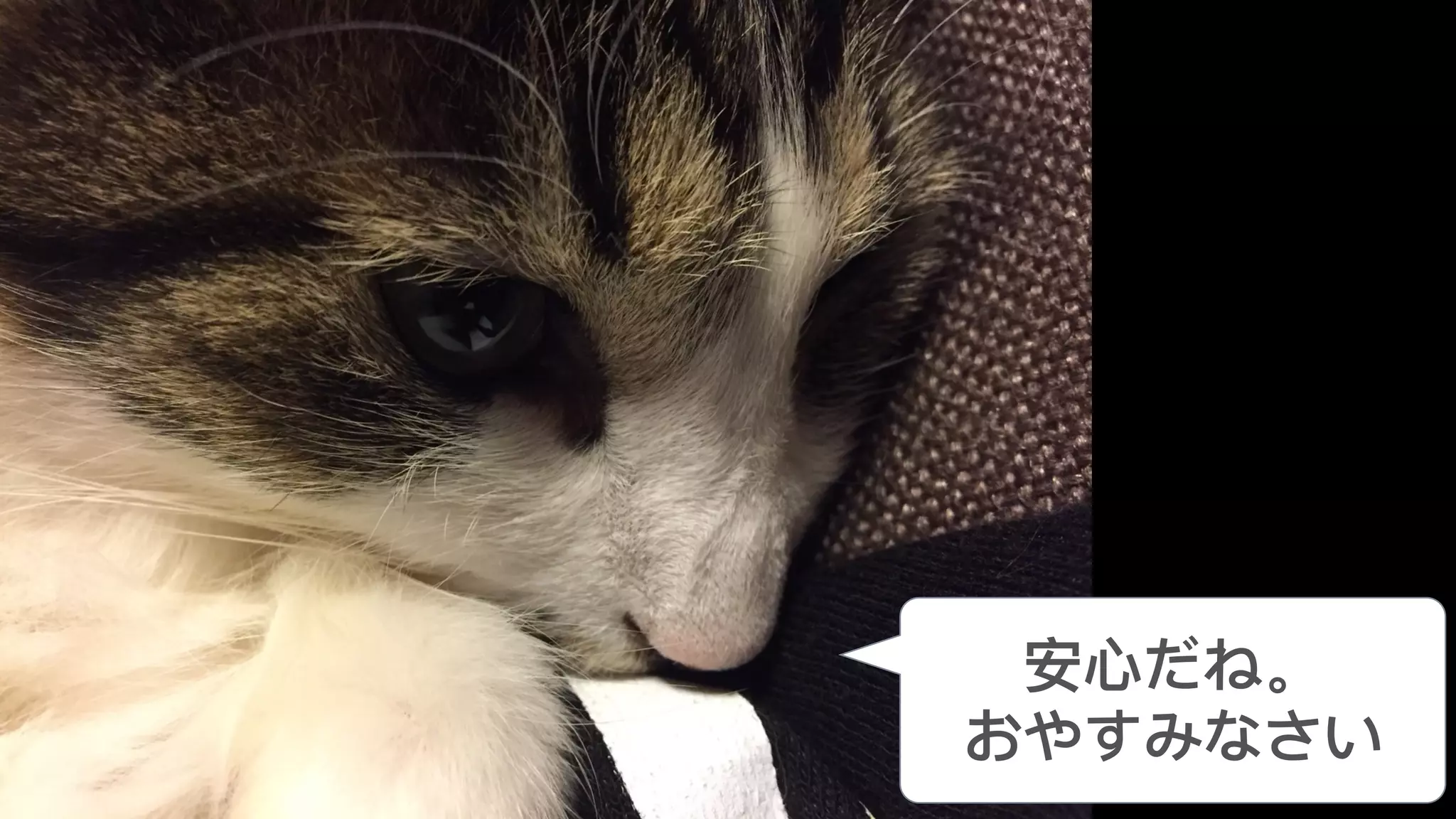 Datadog monitoring with HashiCorp stack | PDF