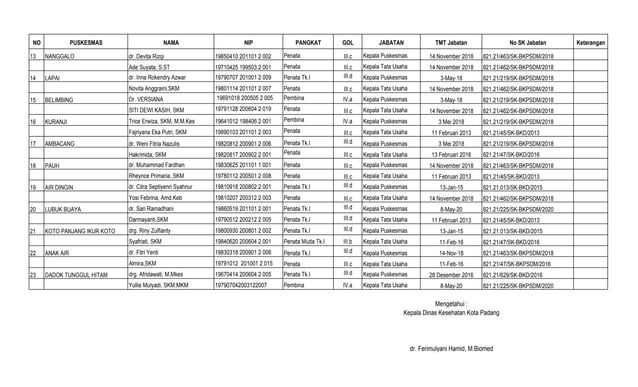Data Dokter Puskesmas Padang.pdf