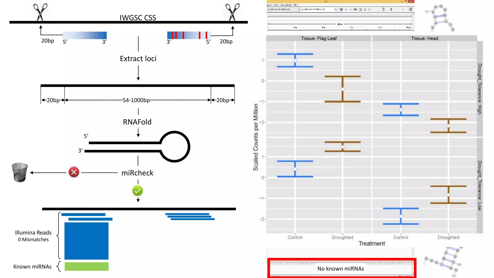 Data driven miRNA Identification | PPT