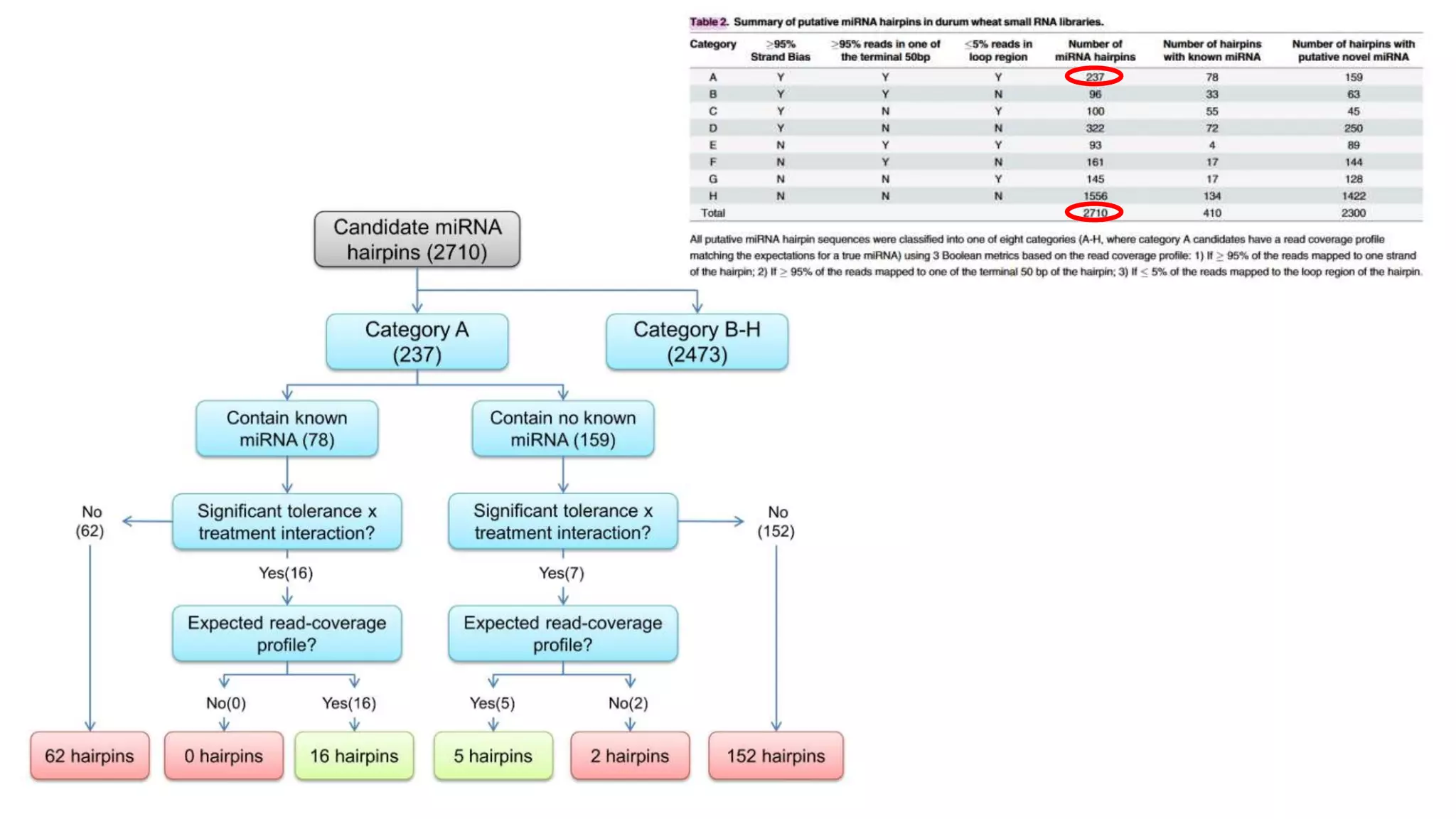 Data driven miRNA Identification | PPT