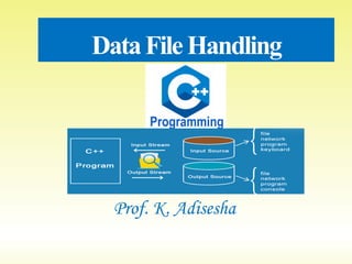 Data file handling | PDF