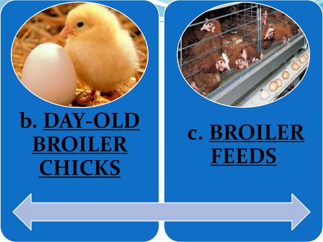 ANALYZE RECORDS KEPT IN POULTRY PRODUCTION ENTERPRISE-Data for broiler ...