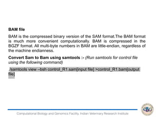 Data formats | PDF