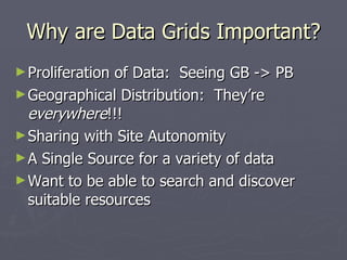 Data Grid Taxonomies | PPT