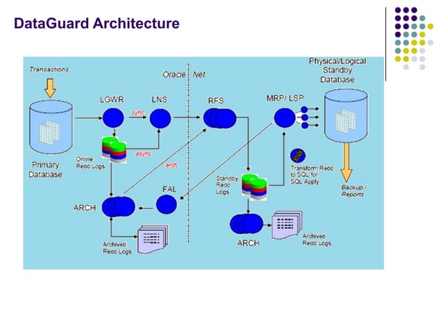 Data Guard Architecture & Setup | PPTX | Databases | Computer Software and Applications