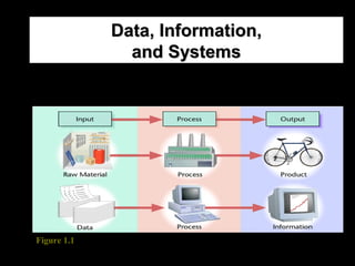 Data information and systems | PPT