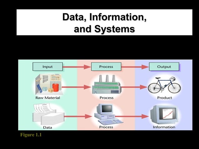 Data information and systems | PPT | Computing | Technology & Computing