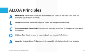 Data Integrity 101 | PDF