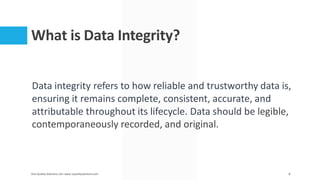 Data Integrity 101 | PDF
