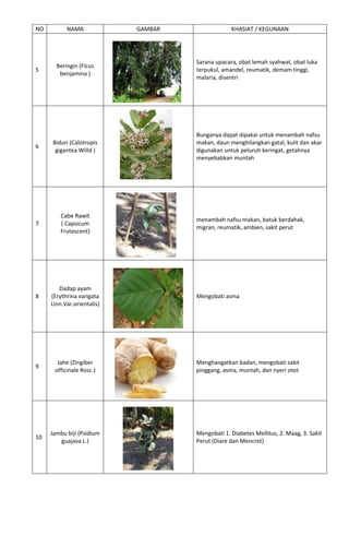 Data inventaris tanaman toga2 | DOCX
