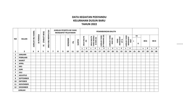 Data Kegiatan Posyandu Dusun Barudocx