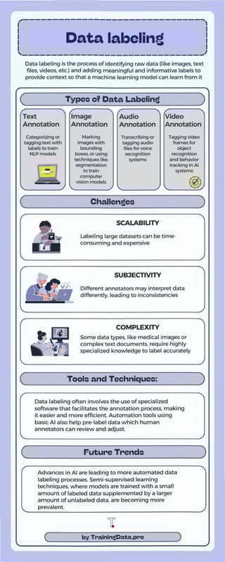 The Infographic about Data Labeling: Types, Challenges, Tools | PDF