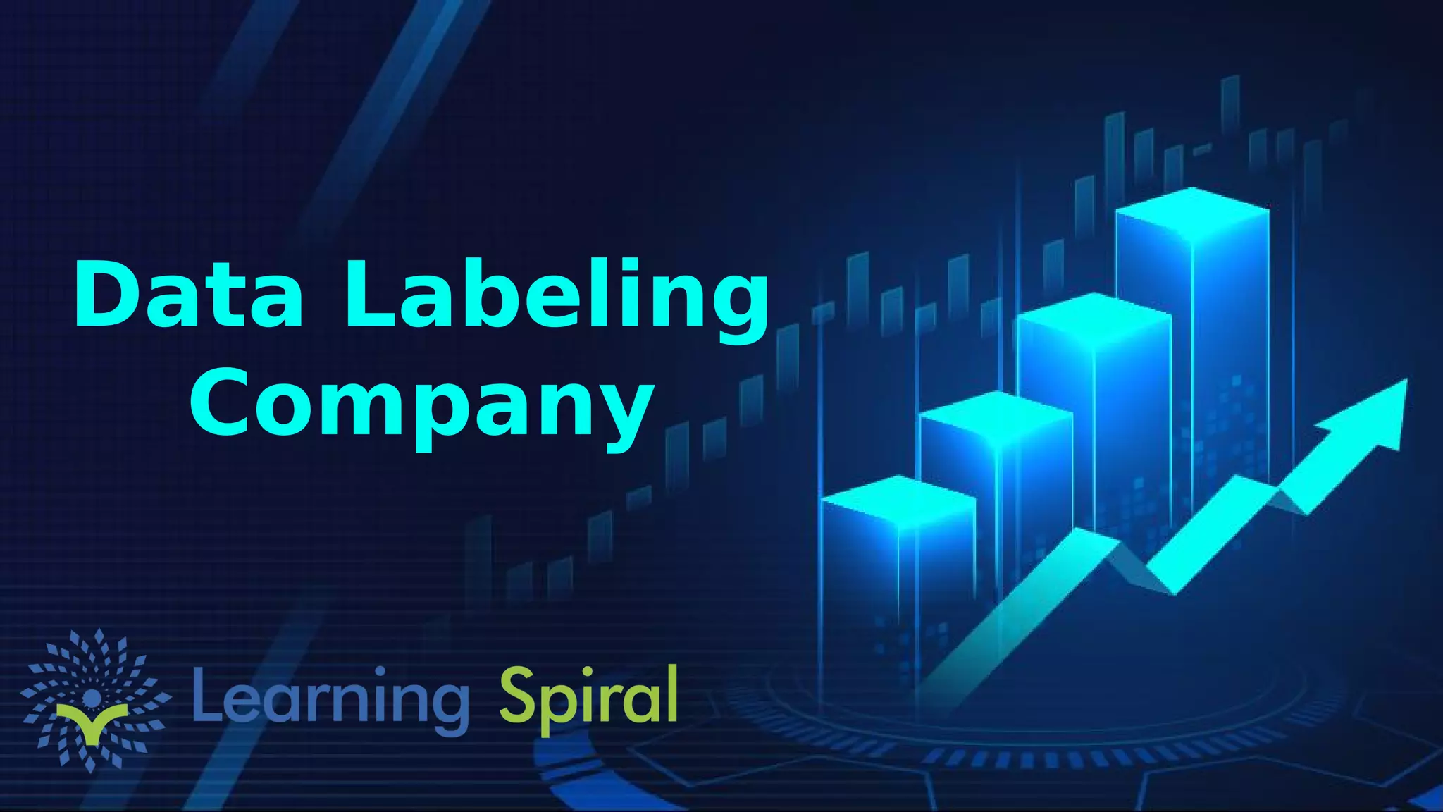 Data labeling company | Learning Spiral AI | PPT