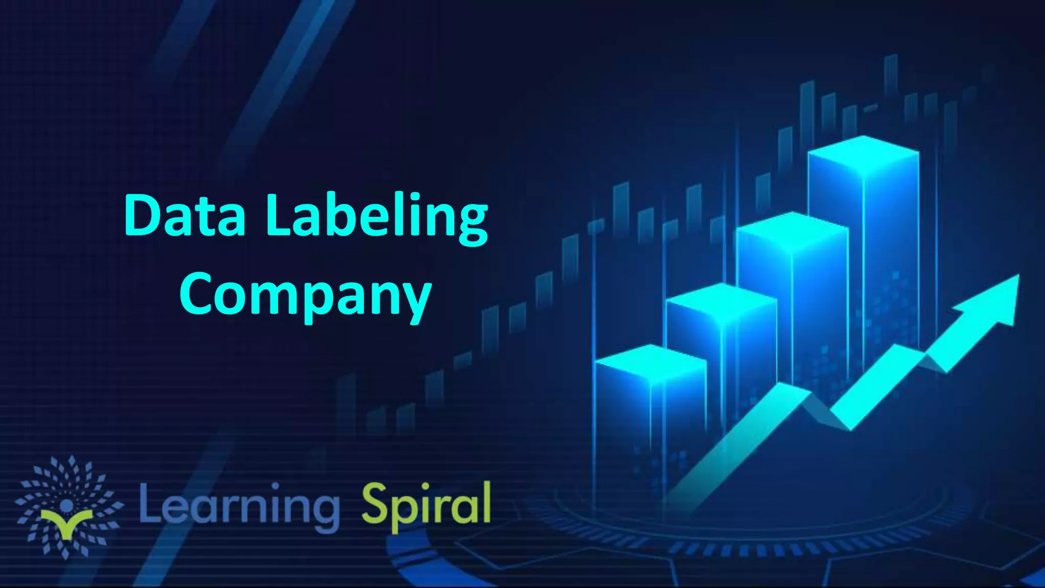 Data labeling company | Learning Spiral AI | PPT