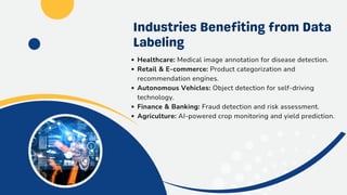 Data Labeling Essential Use Cases for Powering AI Models | PDF