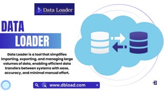Understanding Data Loaders: How They Work and Why They Matter | PDF