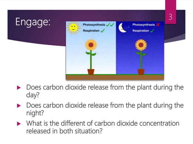 Data logger experiment | PPT