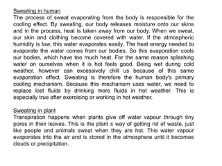 Data logger present | PPT