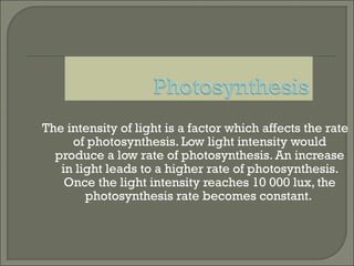 Data logging | PPT | Gardening | Home & Garden