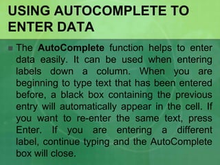 Excel Data Management | PPTX