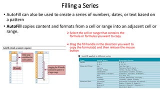 Data management and excel appication.pptx