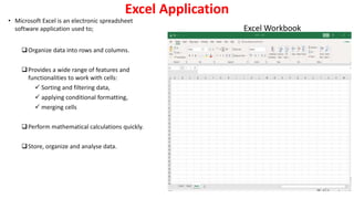 Data management and excel appication.pptx