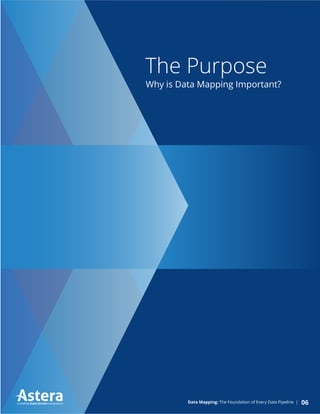 Data Mapping eBook | PDF