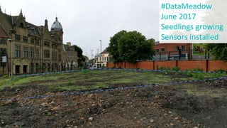 Data meadow 00 | PPT