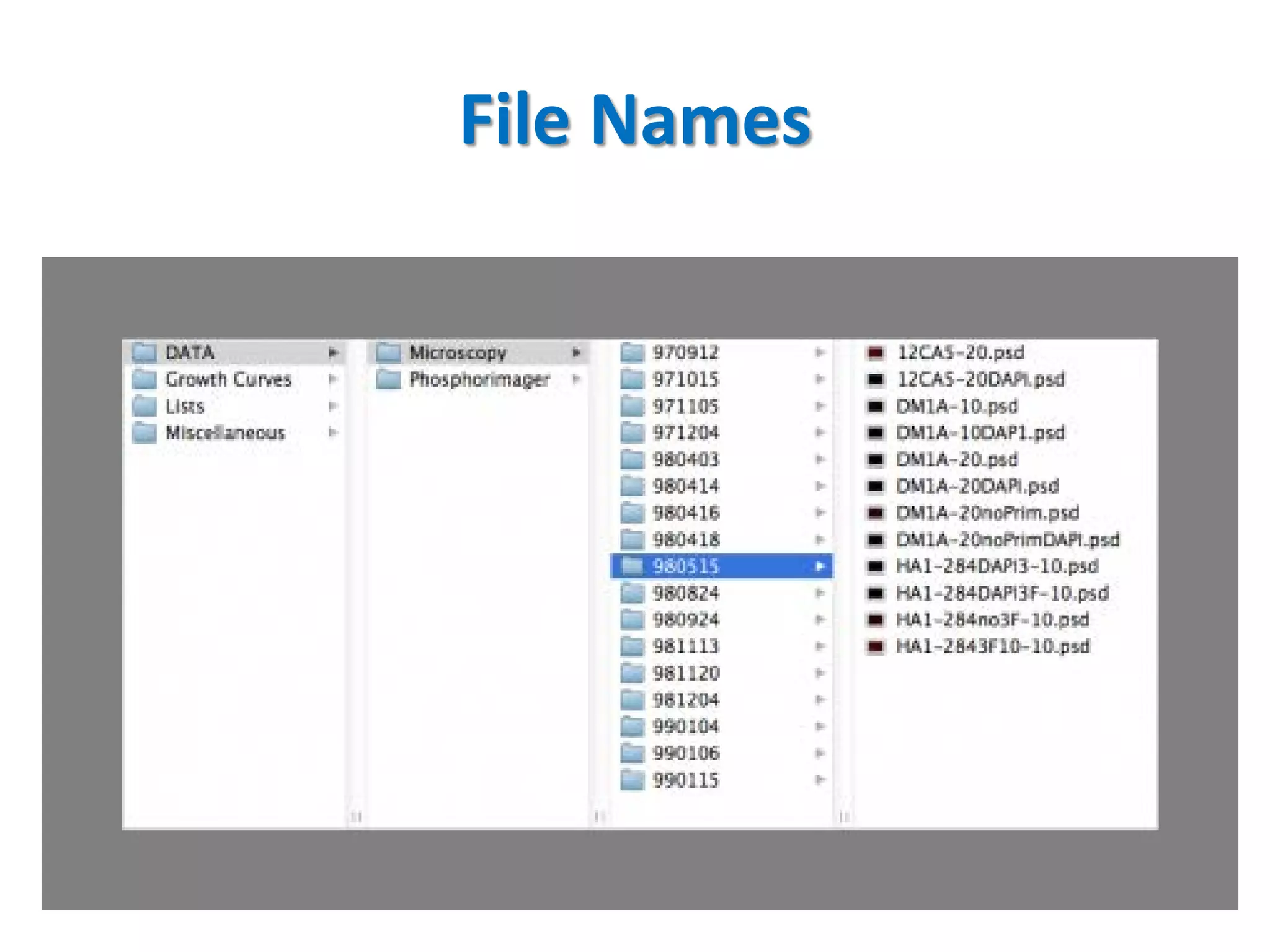 Data Management Lab: Session 2 slides | PPT