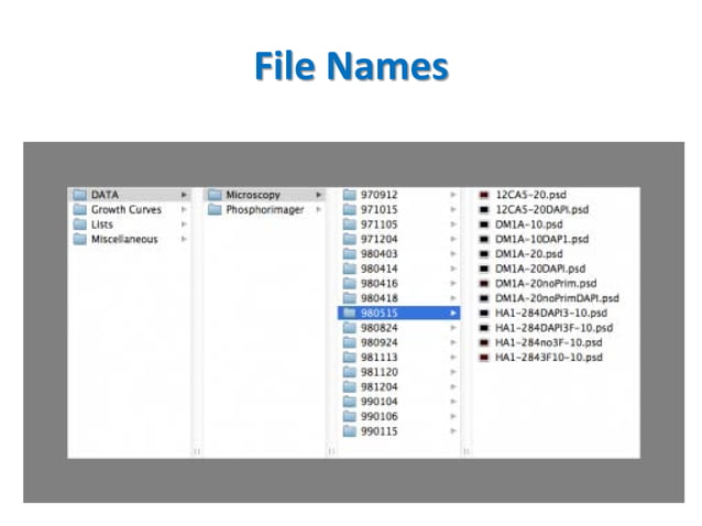 Data Management Lab: Session 2 slides | PPT