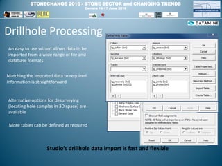 Datamine Solutions for DS and IM, mining,block | PDF | Geology | Science