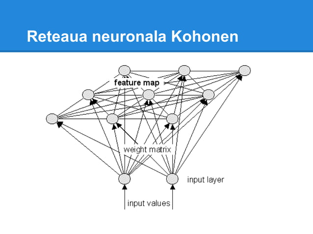 Retele neuronale in data mining | PPT