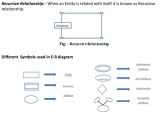 Data model and entity relationship | PPTX