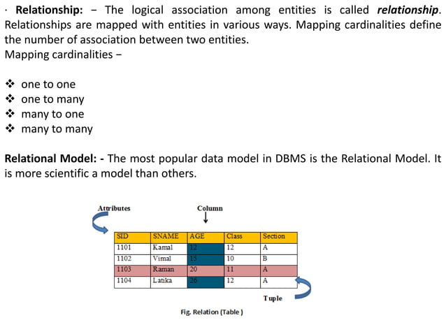Data model and entity relationship | PPTX | Databases | Computer Software and Applications