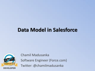 Data model in salesforce | PPTX