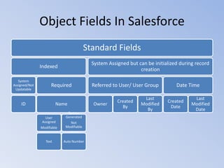 Data model in salesforce | PPTX
