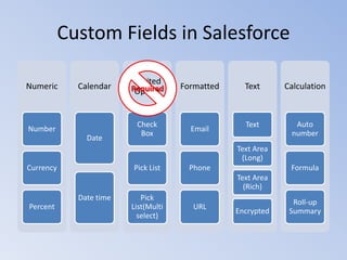 Data model in salesforce | PPTX
