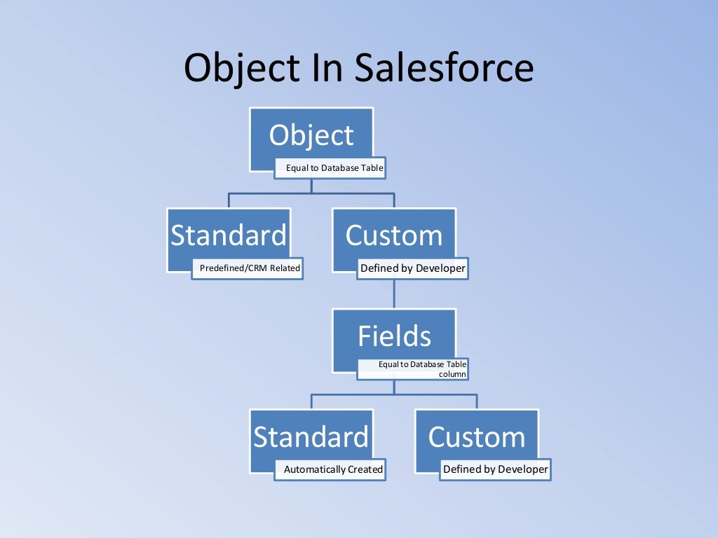 Data model in salesforce