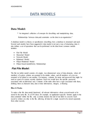 Data models | DOCX | Databases | Computer Software and Applications