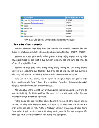 Data netflow analyzer | DOC