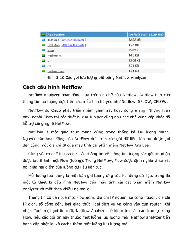 Data netflow analyzer | DOC