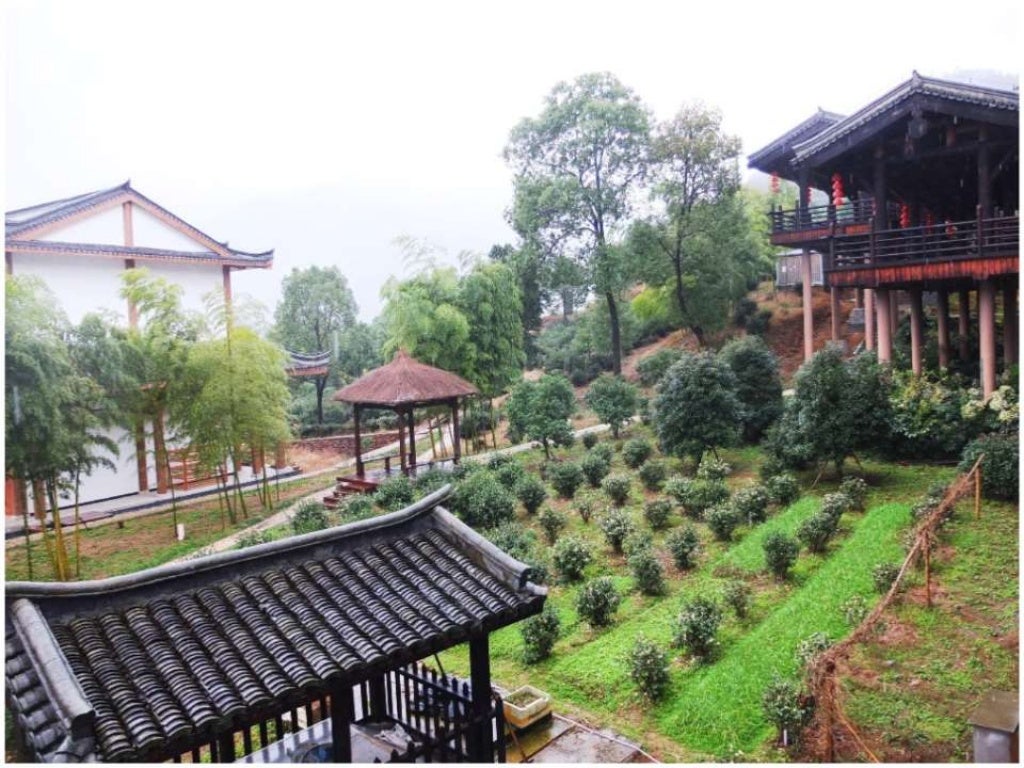 Datang Tribute Tea Park, Changxing Zhejiang (浙江長興 大唐貢茶院)